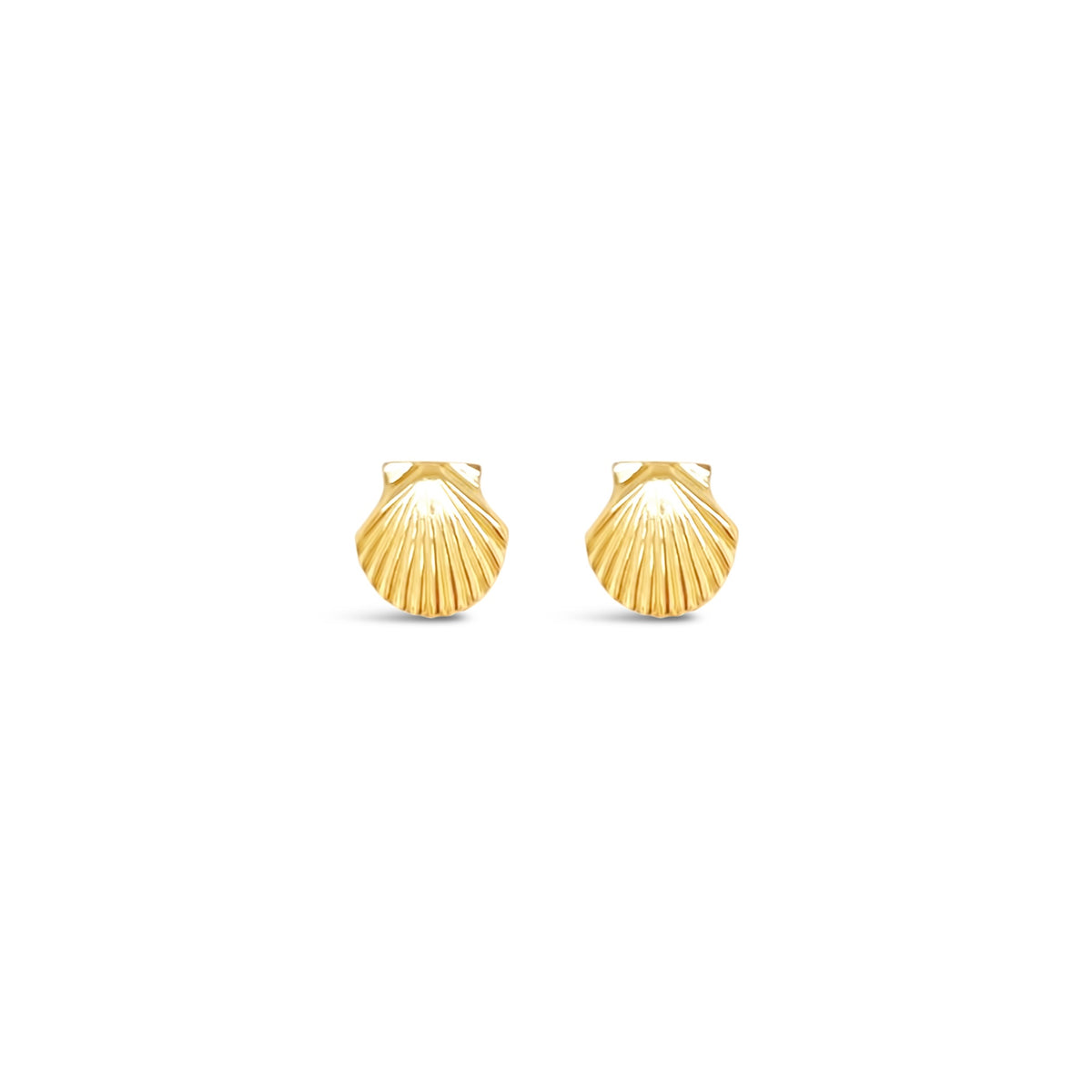 Tiny Scallop Shell Stud Earrings – CJ Inc.
