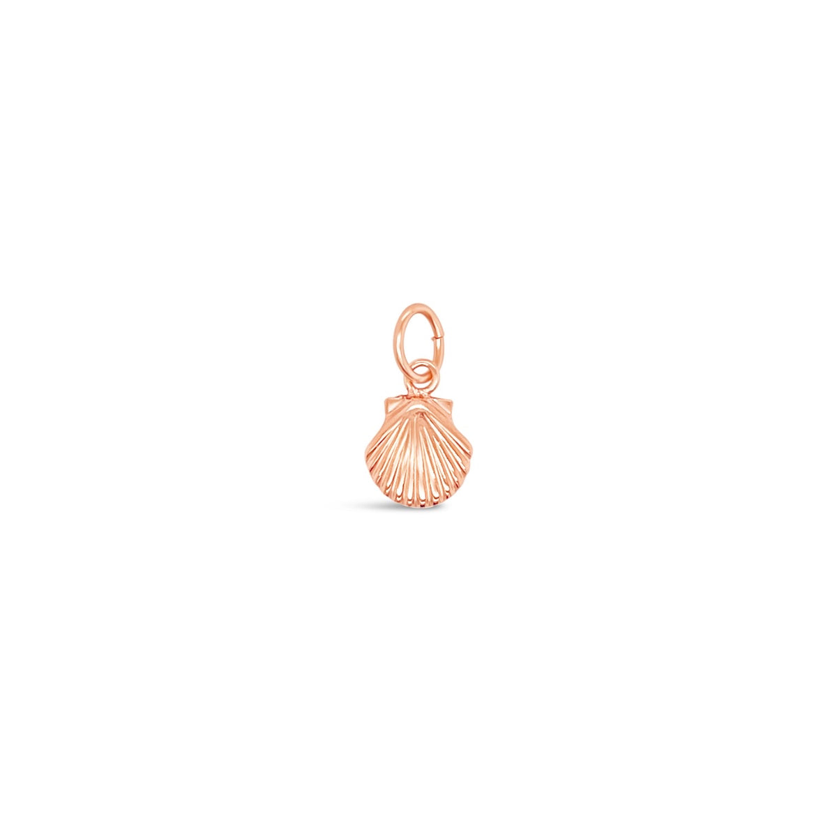 Tiny Scallop Shell Charm – CJ Inc.