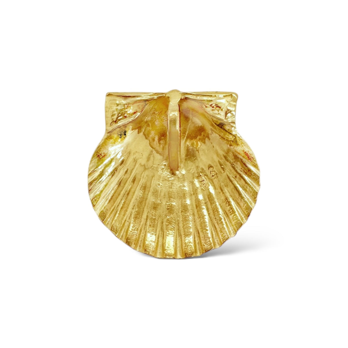 Medium Ridged Scallop Pendant – CJ Inc.