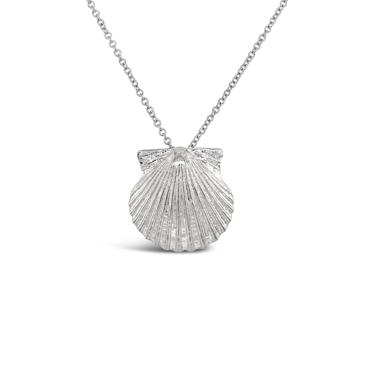 Nantucket Scallop Shell Pendant – CJ Inc.