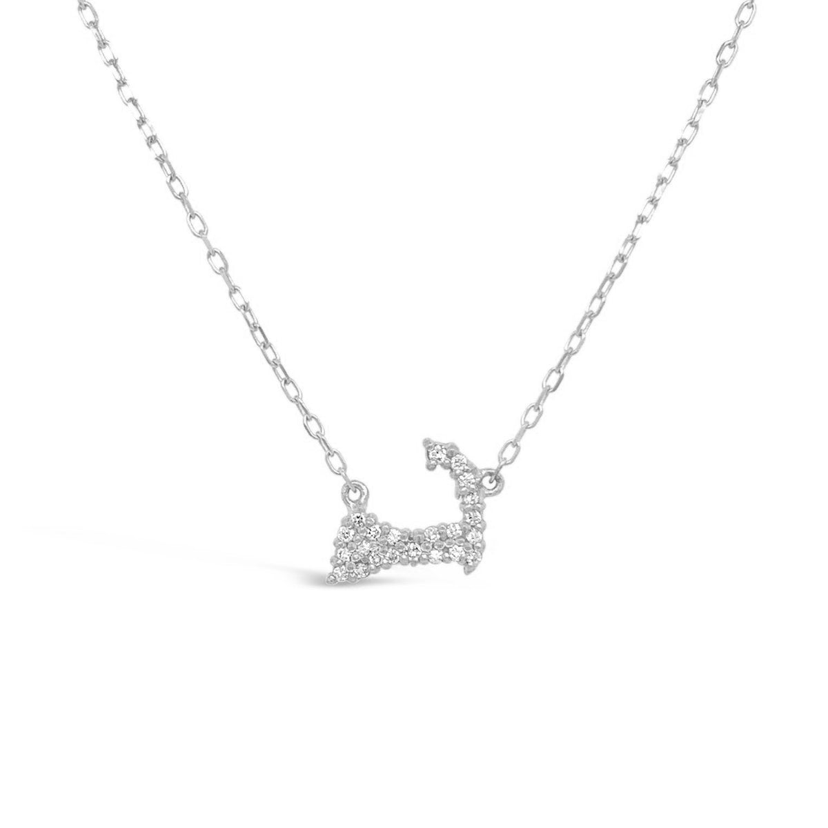 Tiny Diamond Cape Cod Map Necklace – CJ Inc.